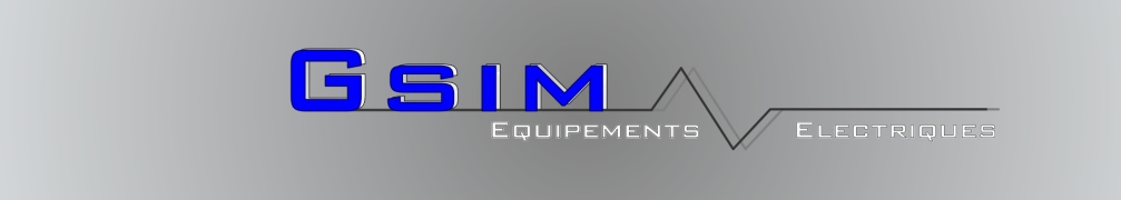 GSIM-ENTREPRISE - A propos